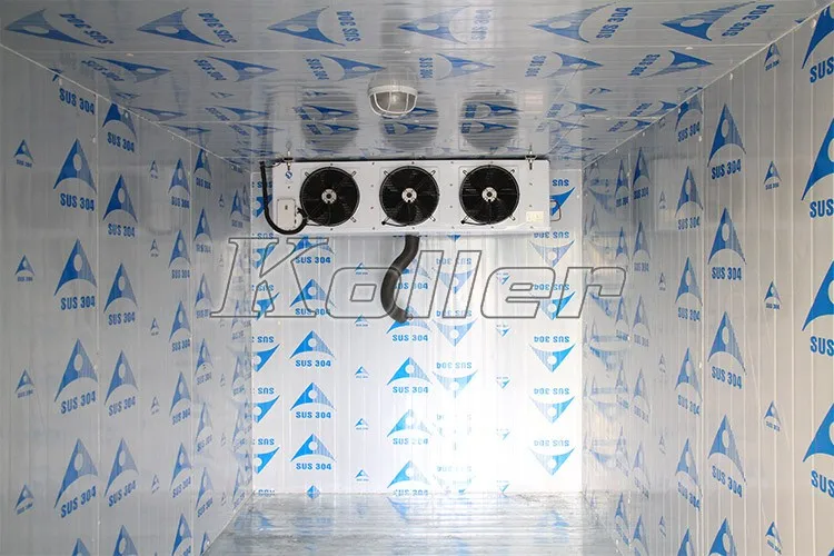 20ft Containerized Cold Room With -20celcius Walk In Freezer Cold ...