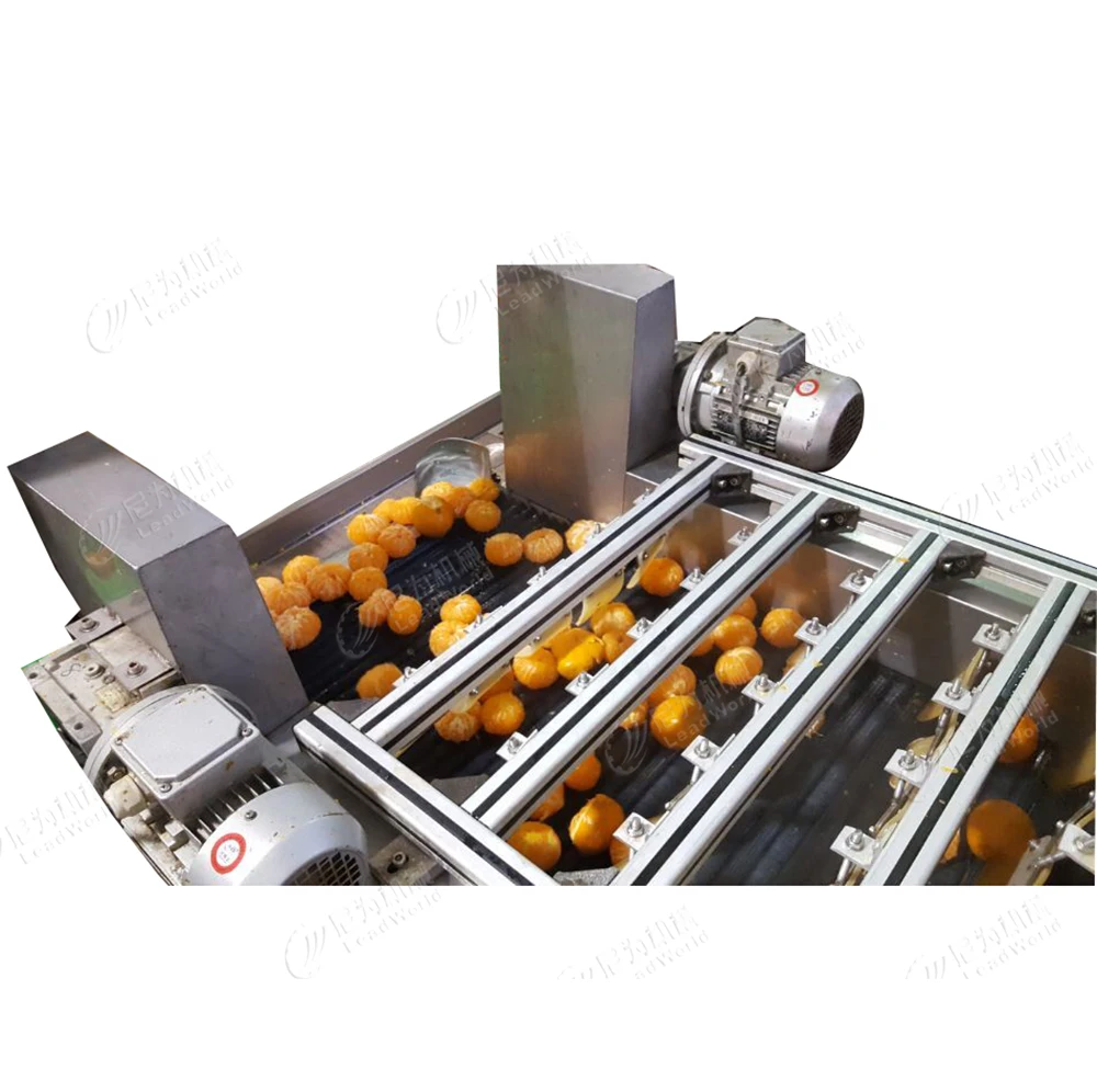 Leadworld Orange Peeler Machine - High Efficiency & Durability