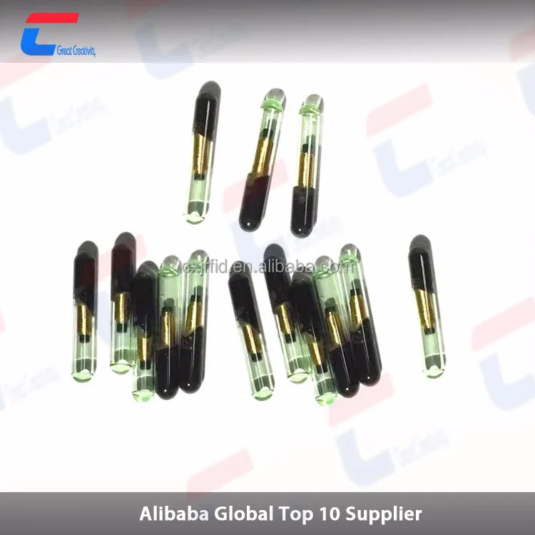 Lf 125 Khz Rfid Microchip De Los Animales Cápsula De Cristal Etiqueta ...