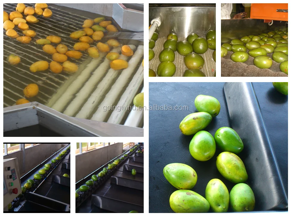 Automatic Fruit Grading Machine Auto Industrial Fruits Weight Sorting ...