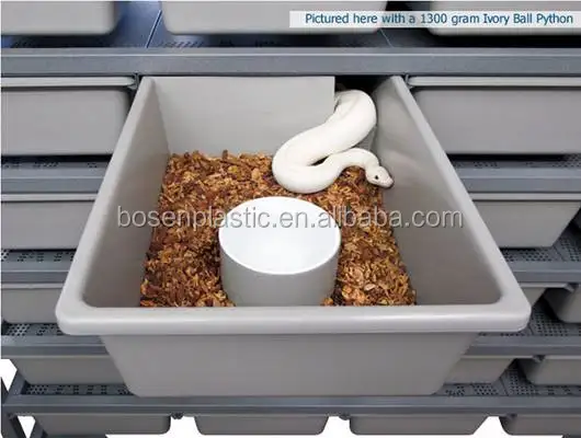 Customized Large Plastic Tubs for Ball Python & Rodents