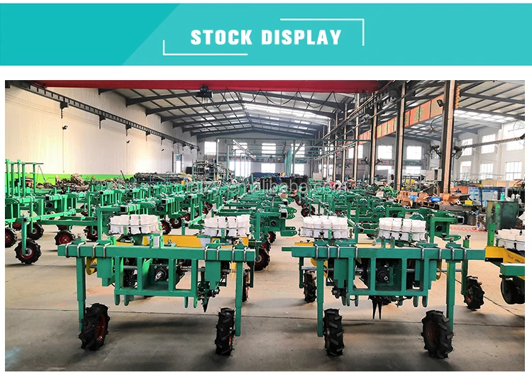 12 Rows Onion Tomato Cabbage Seedling Planter Machines