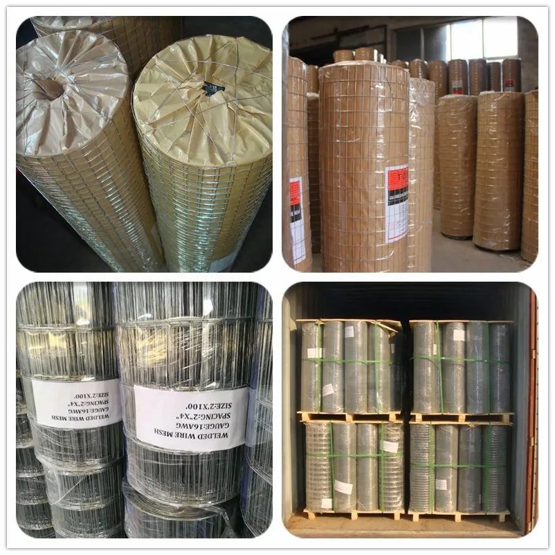 Shengsen Factory 4' X 50' Pvc Coated Dark Green Welded Wire Mesh Roll ...