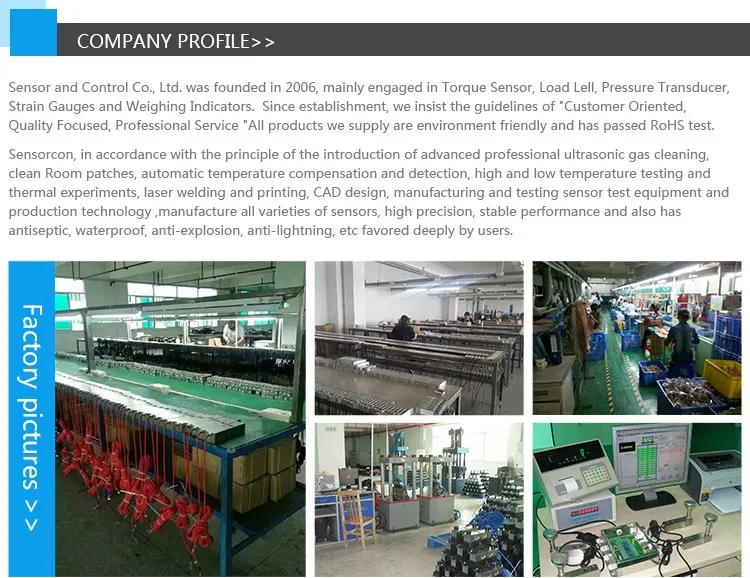 Scale Weight Pad - Portable Axis Load Scale Pad by Sensorcon