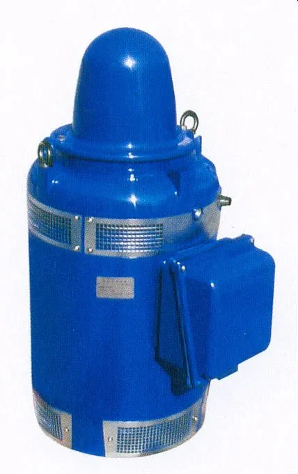 VHS Vertical Hollow Shaft Electric Motors - Reliable Power