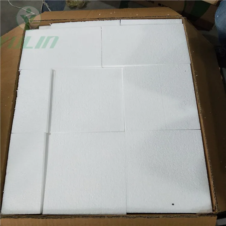 Human Tibia And Fibula Bone Model For Medical Learning And Training ...