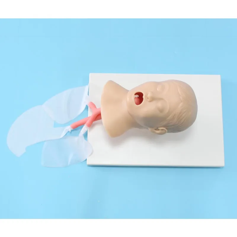 Alibaba.com: China PVC Medical Science Emergency Intubation Doll ...