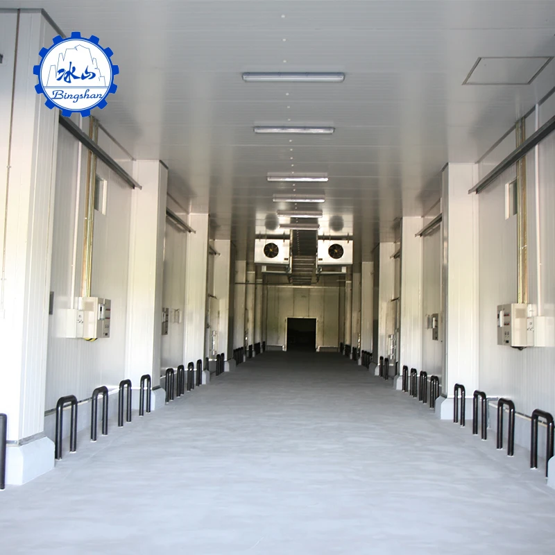 Alibaba.com: Cold Storage Refrigerator Cameras Fruit Freezer Room: CE ...
