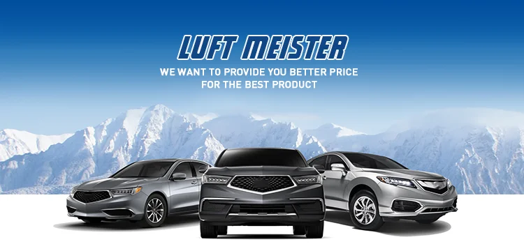Luft Meister New Suspension Systems Rear Spring Strut For Toyota Lc ...