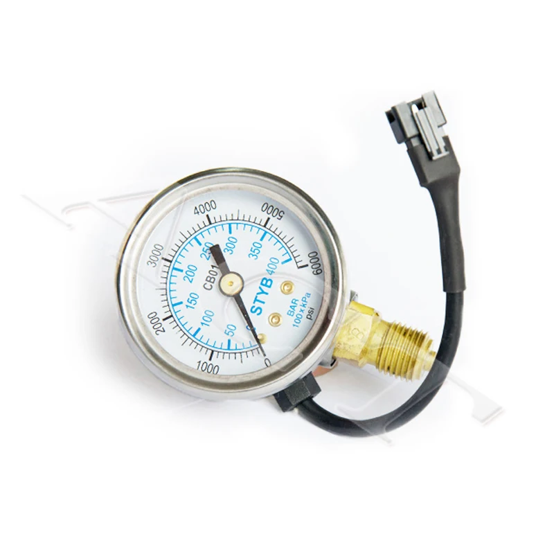 4cyl Cng Lpg Autogas 5v Manometer Cng Fuel Injection Pressure Tester ...