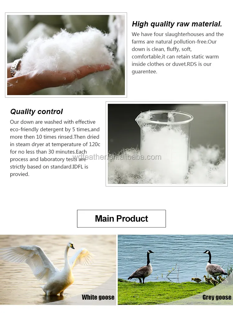 Washed Grey Goose Down 800 Fill High Filling Power Jacket for Men and ...