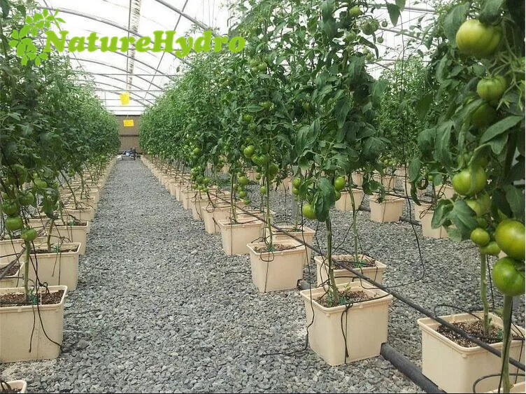 Dutch Bucket - Durable Hydroponic Drip Irrigation System