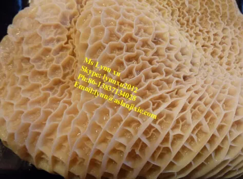 Tripe Cleaning Machine/Cattle Tripe Belly Stomach Washing Machine ...