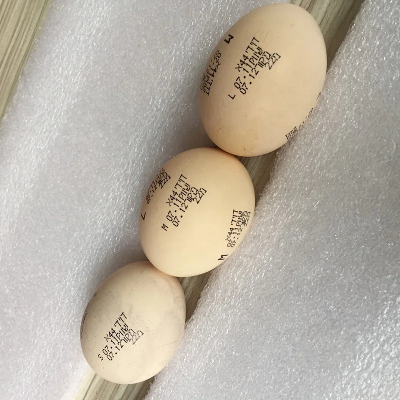 Original Brand New Industrial CIJ Coding Printer Equipment 1620 FG Food ...