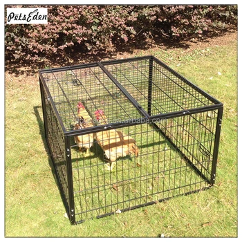 Grand Extérieur Simple Black Metal Chicken Coop Grillage - Buy ...