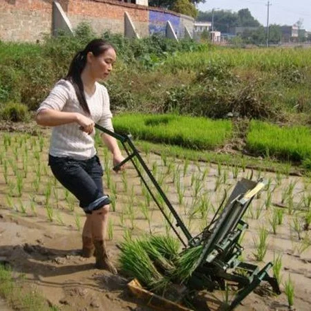 Mini Rice Planter Hand Push Seeding Machine Rice Transplanter - Buy 2 ...