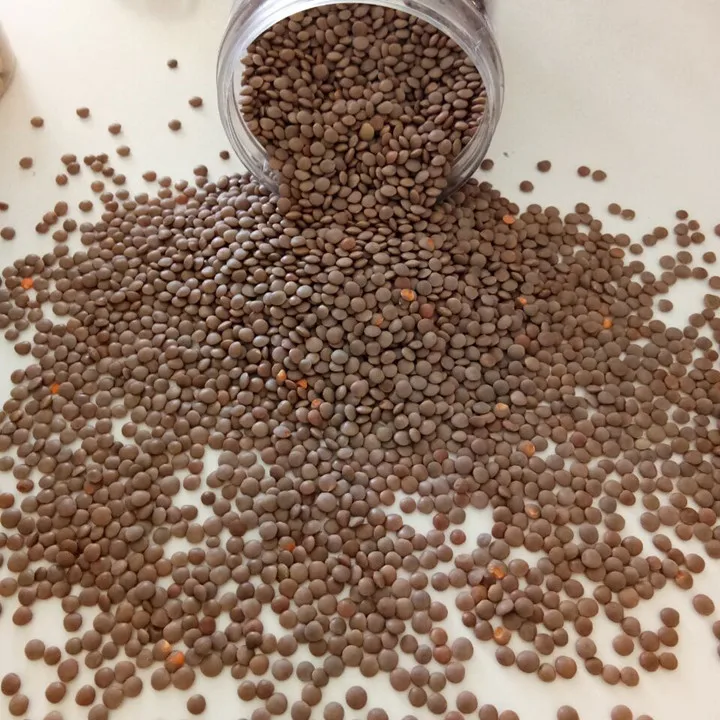High Quality Bulk Dried Whole Split Lentils - Red & Green