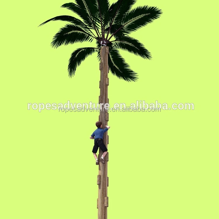 อุปกรณ์ปีนต้นมะพร้าว - Buy Tree Climbing Device,Coconut Tree Climbing ...