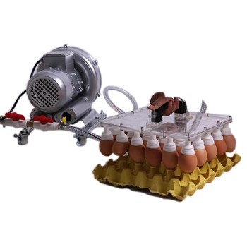 Vacuum Pump Lifter To Transfer Eggs Vacuum Egg Suction Lifter Machine - Buy Vacuum Eggs Moving ...