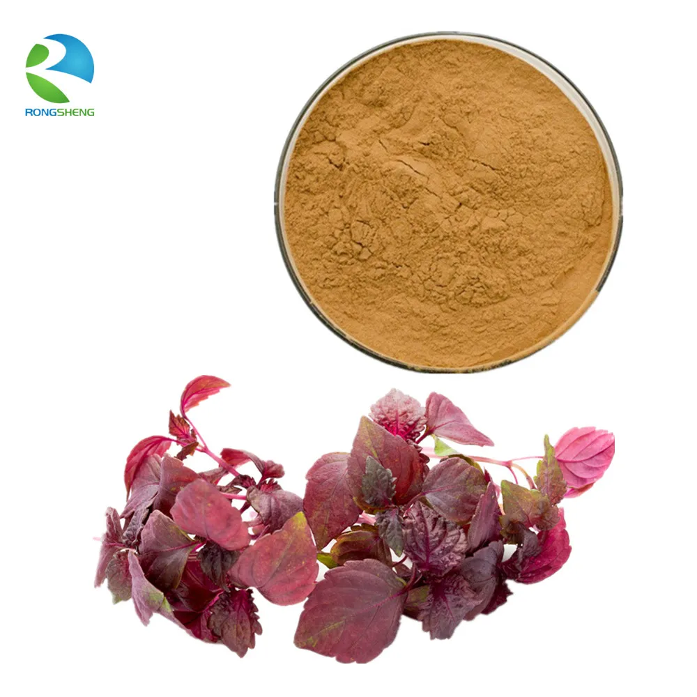 Oragnic Perilla Frutescen Leaf Extract Powder Perilla Leaf Extract ...