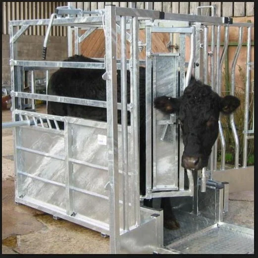 Australian Farm Special Animal Husbandry Cattle Neck Clamp,Cattle ...