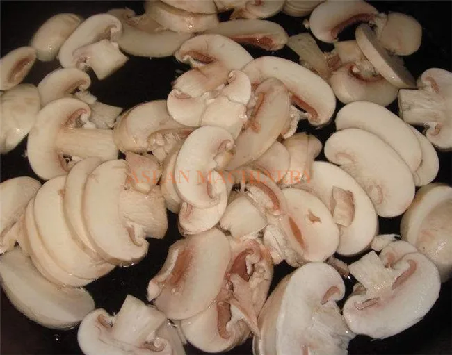 Efficient Mushroom Slicing with Aslan's Cutting Machine