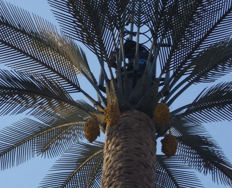 China Customized Bionic Tree Telecommunications Monopalm Manufacturers ...