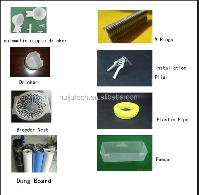 32 Cells Racing Pigeon Equipment - Durable & Customizable