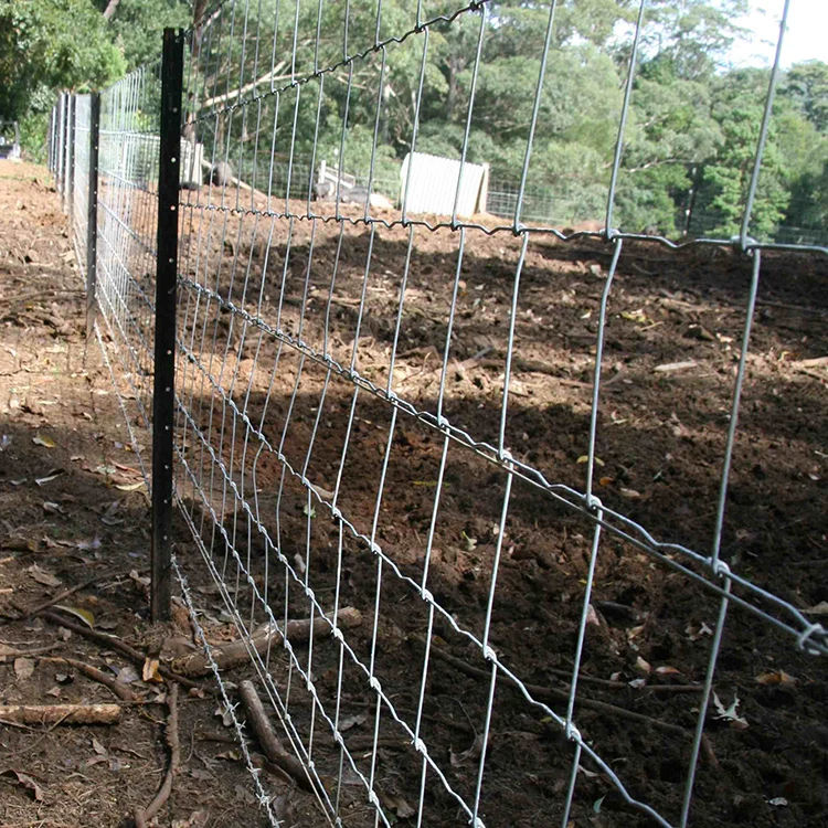 High Quality Galvanized Fixed Knot Wire Mesh Farm Fence Cattle Deer ...