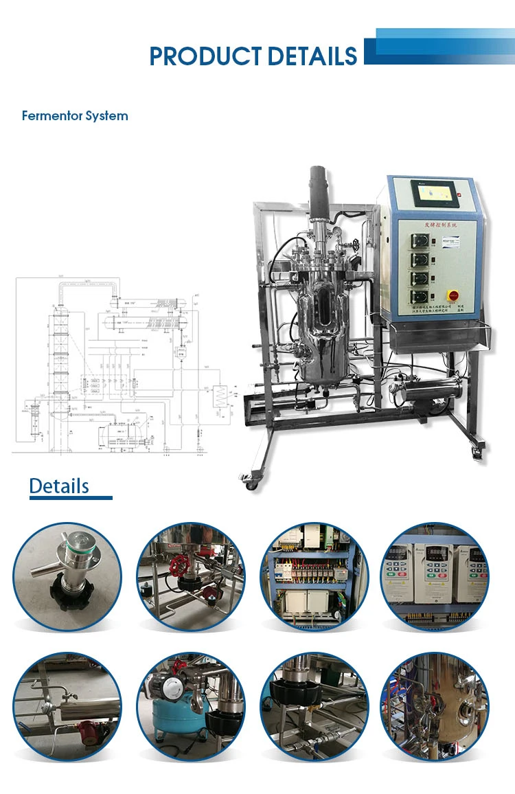 Small 100L Lab Bioreactor Fermenter With Advanced Control System ...