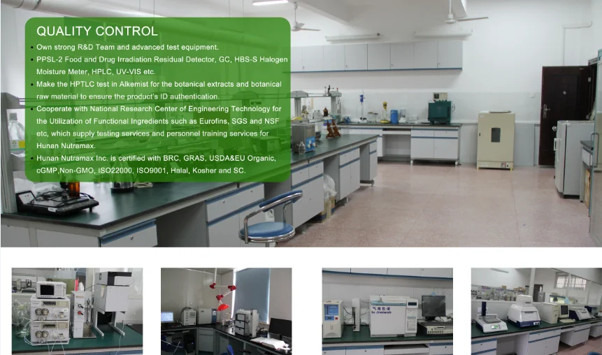 Natural Food Color Pigment Safflower Yellow Carthamus Extract ...