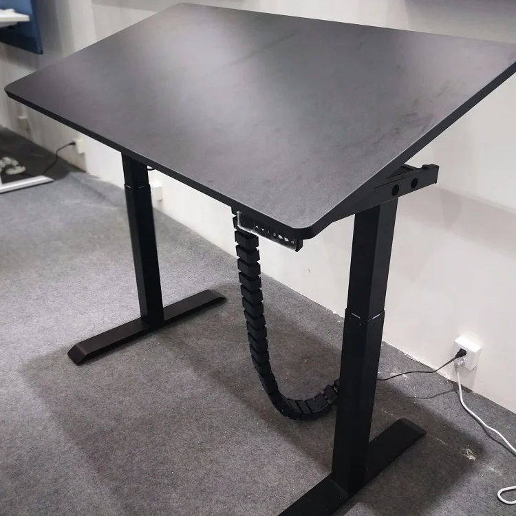 Home Office Lift Standing Computer Table Desk Electric Dual Motor ...