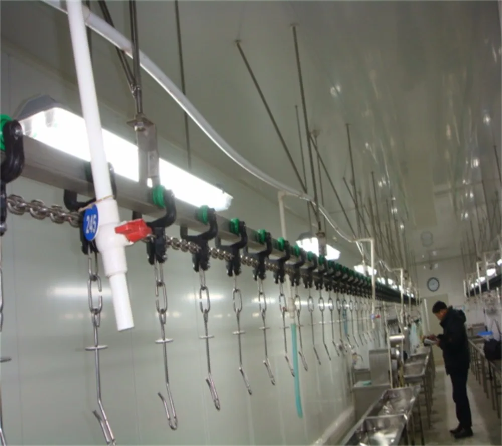 Broiler Abattoir Poultry Rabbit Quial Equipment - Buy Broiler Abattoir ...