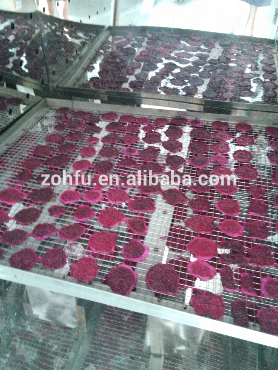 High Quality Industrial Dehydration Machine Best Selling Food ...