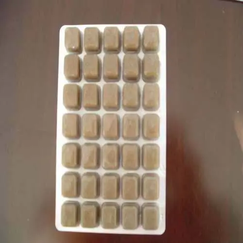 Frozen Bloodworm Cubes for Tropical Fish - High-Protein Pet Food for ...