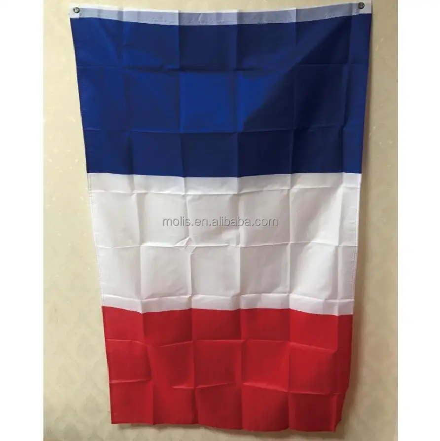 Cheap Stock Polyester 3*5ft French France Flag With Two Brass Grommets ...