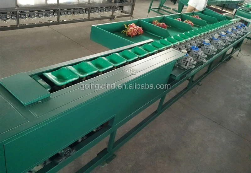 Automatic Watermelon Grading Machine - Efficient & Reliable
