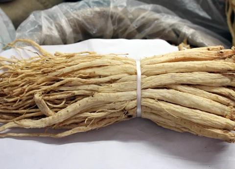 Natural Dried Chinese Herb - Dang Shen (codonopsis Pilosula)