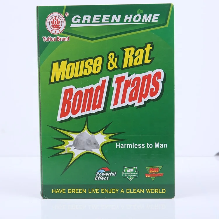 Eco-friendly Mouse Traps - Effective Pest Control Solutions