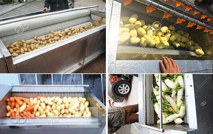 Shell Washing Machine / Seashell Cleaning Machine / Fanshell Washer And ...