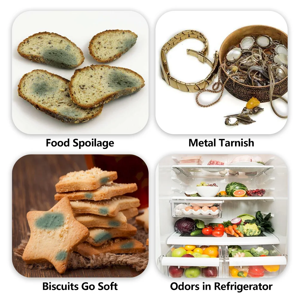 ISO Factory Slim Food Airtight Healthy Storage Solutions