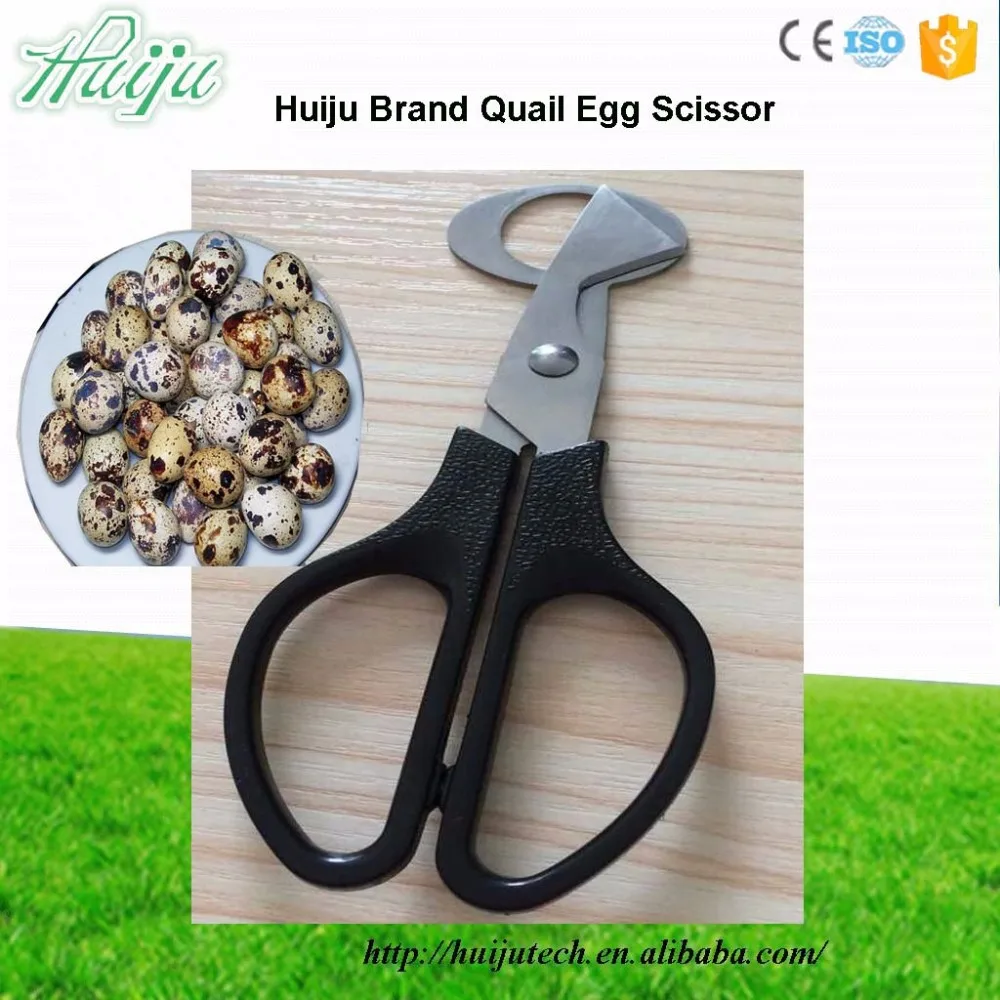 Quail Egg Cutter / Boiled Egg Peeling Machine Hj-dn012 - Buy Egg Cutter ...