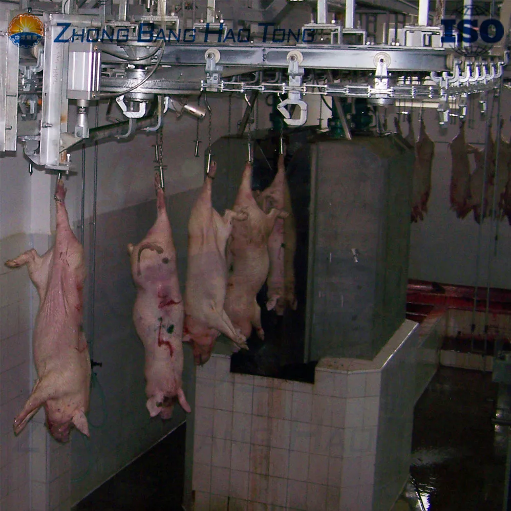 Pig Slaughter Hanging Rail System for High Productivity