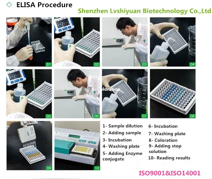 0.1 Ppb Diazepam Eia Assay Kit Food Diagnostic - Buy Rapid Diagnostic ...
