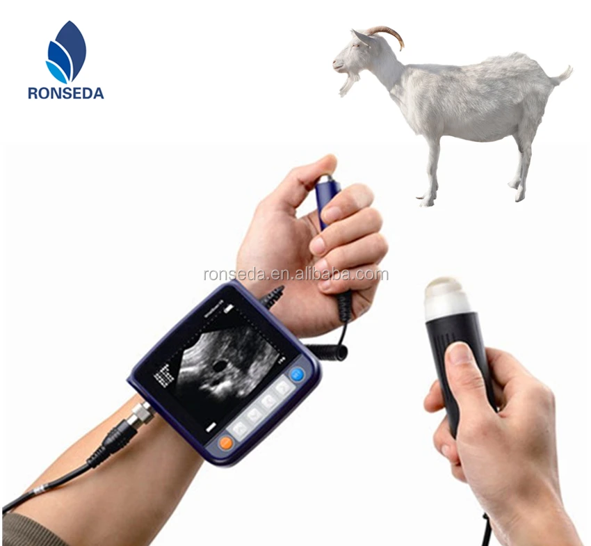 2025 Ultrasound machine veterinary ultrasound scanner for Animal ...