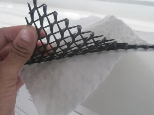 HDPE Geonet Drainage Net Drainage Systems 3D Geocomposite Drainage Net ...