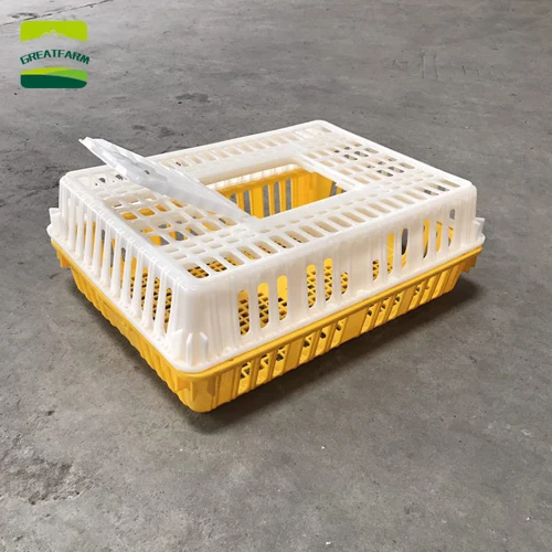 Live Chicken Transport Cages for Sale - Durable & Efficient
