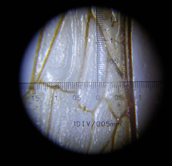 MG10081 Portable Microscope - 100X Magnification for Jewelry & Electronics