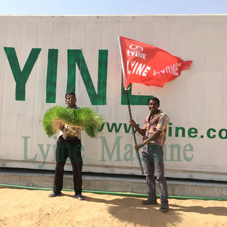 Vertical Hydroponic Barley Growing Shipping Container Farm