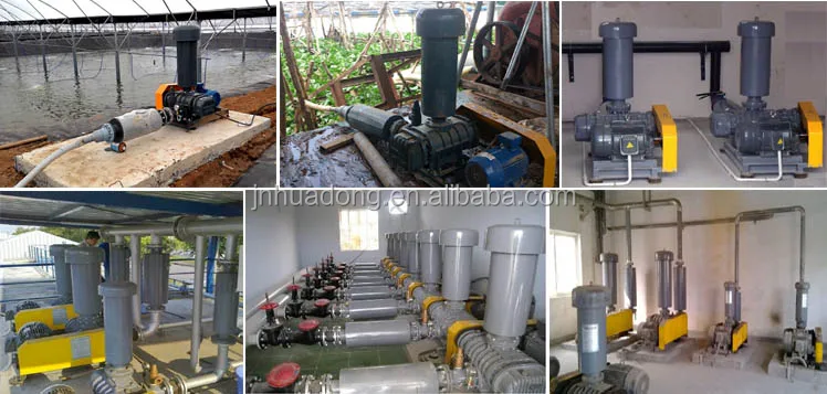 Sewage Treatment Plant STP Air Blower - 12-18 Months Warranty